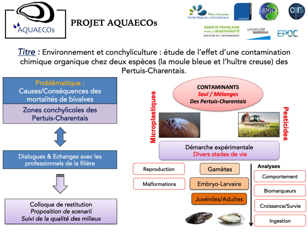 Démarche expérimentale – Aquaecos