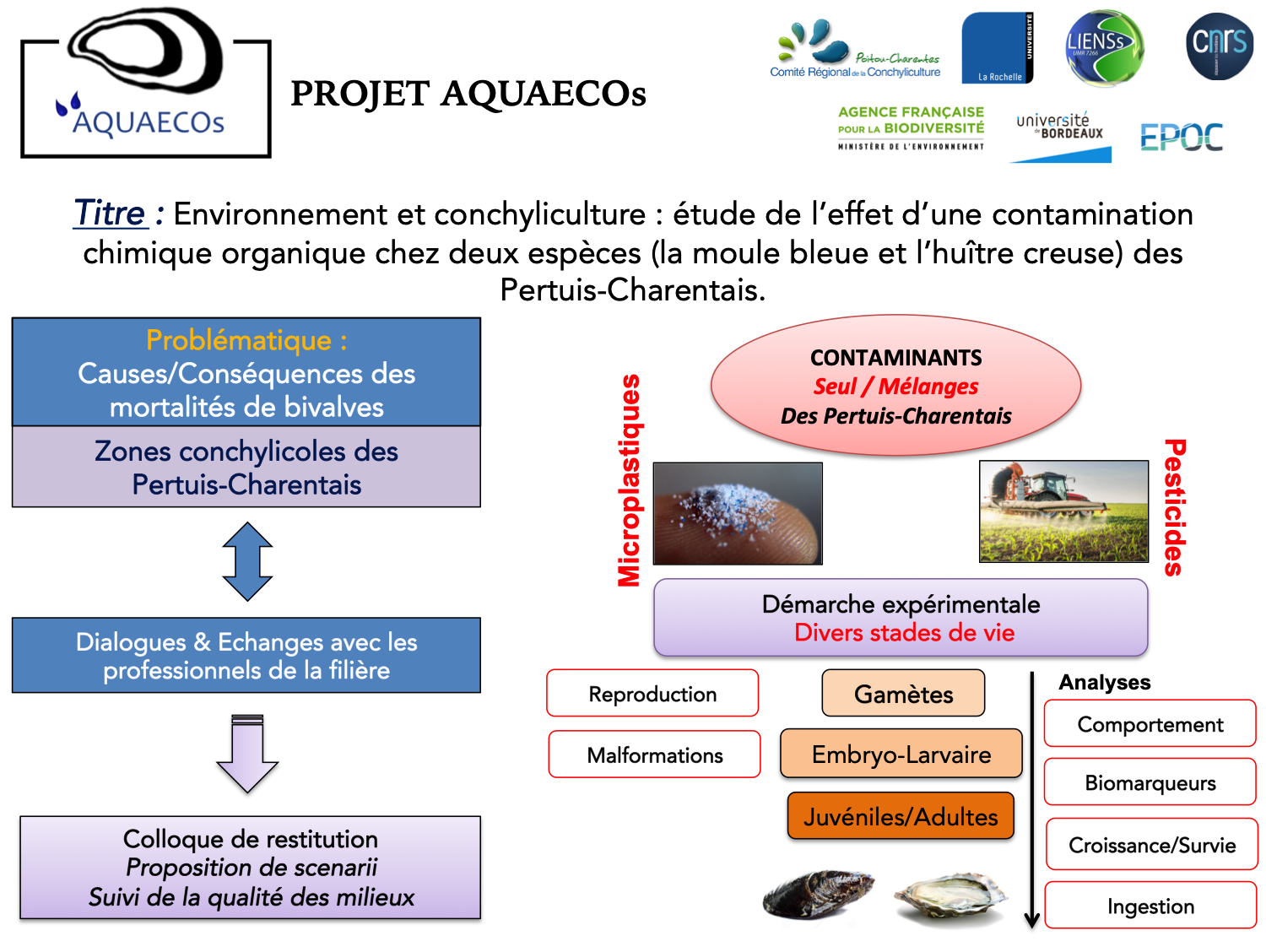 Démarche expérimentale – Aquaecos